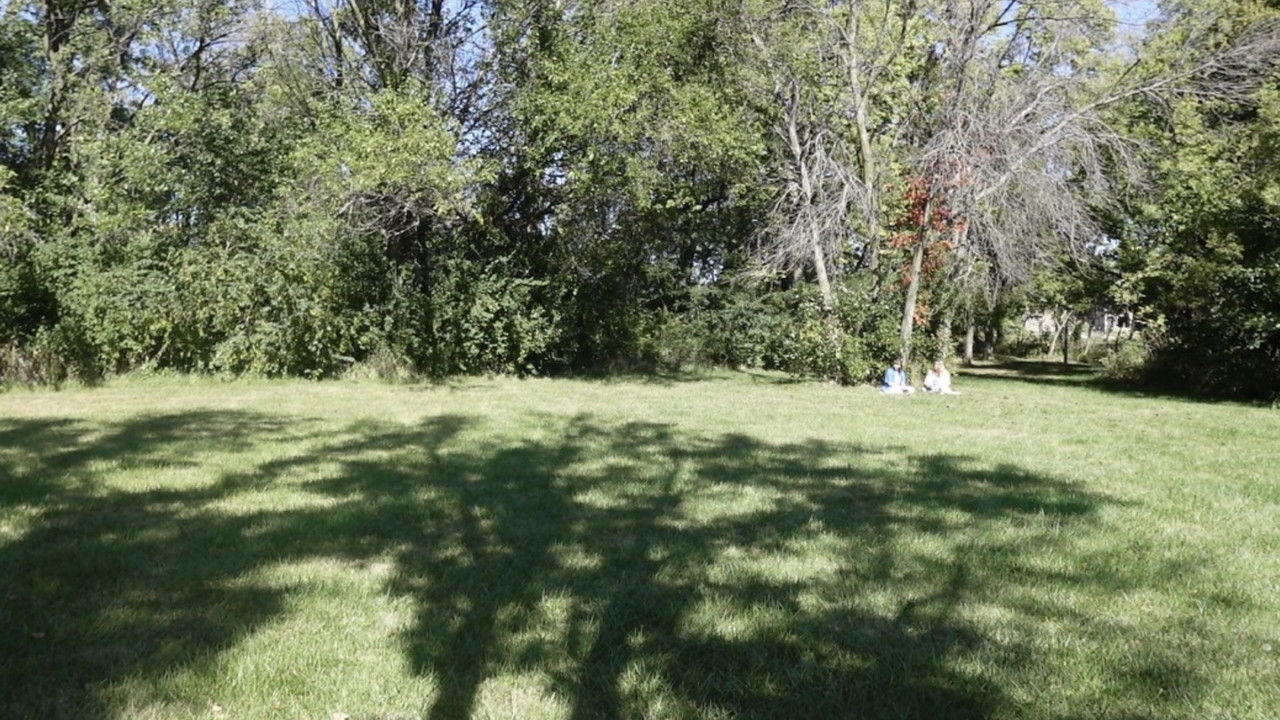 The Magical, Musical, Magnificent Moving Library of Montgomery and ...